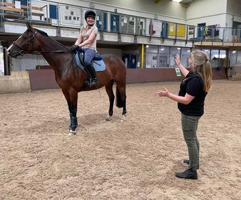 Welcome to Stepney Bank Stables